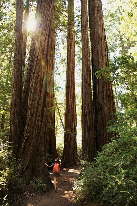 Art Department - Photography - Christopher Simpson