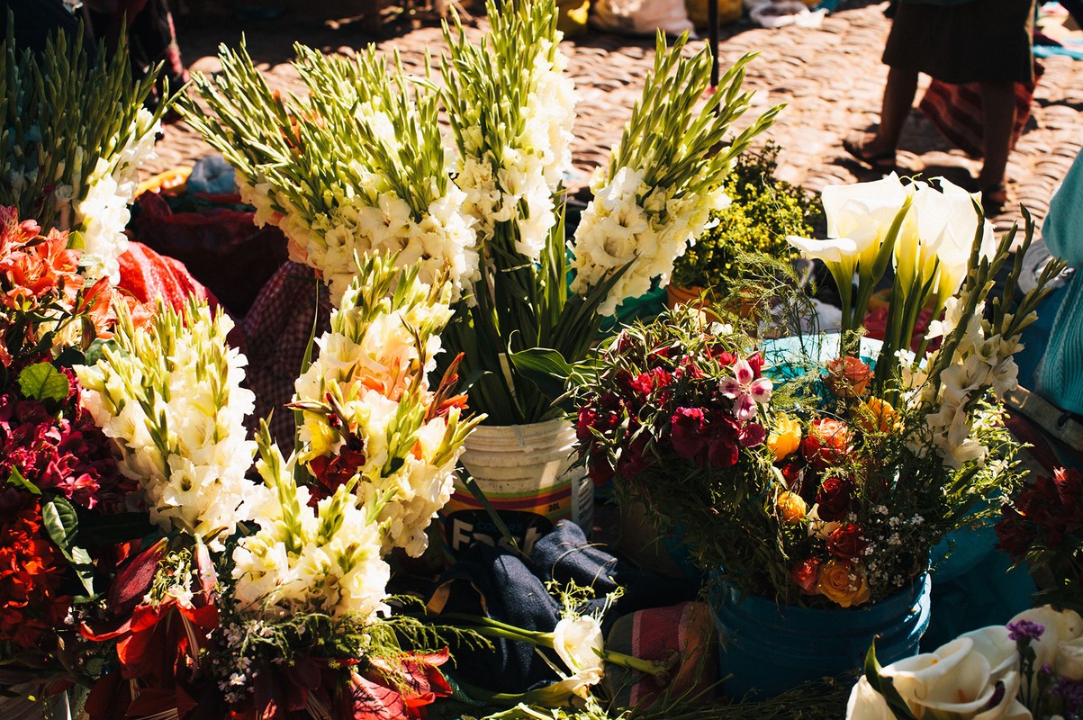 Art Department - Photography - Christopher Simpson