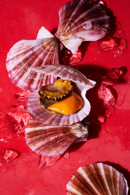 Art Department - Photography - Scott Pitts